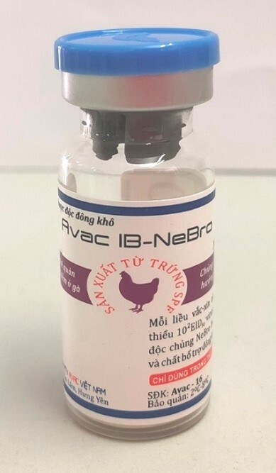 Avac IB-NeBro - RTD Company